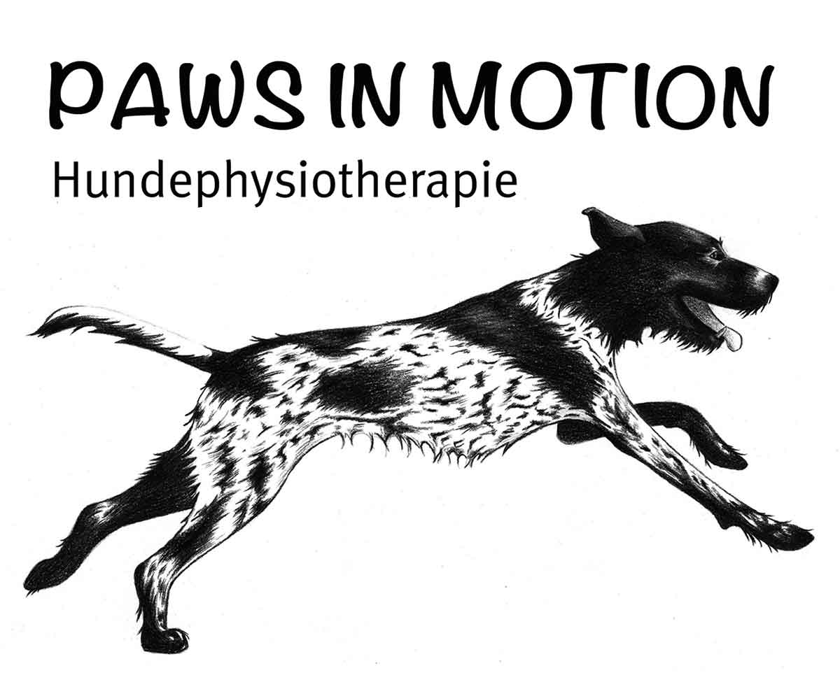 Hundephysiotherapie, Prävention und Rehabilitation in Recklinghausen ...